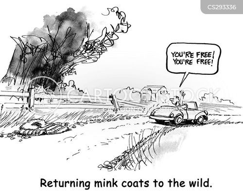 Mink Cartoons and Comics - funny pictures from CartoonStock