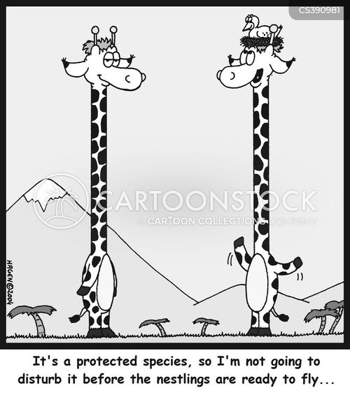 Wildlife Protection Cartoons and Comics - funny pictures from CartoonStock