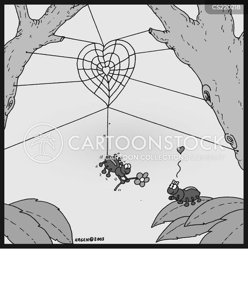 Insect Courtship Cartoons and Comics - funny pictures from CartoonStock