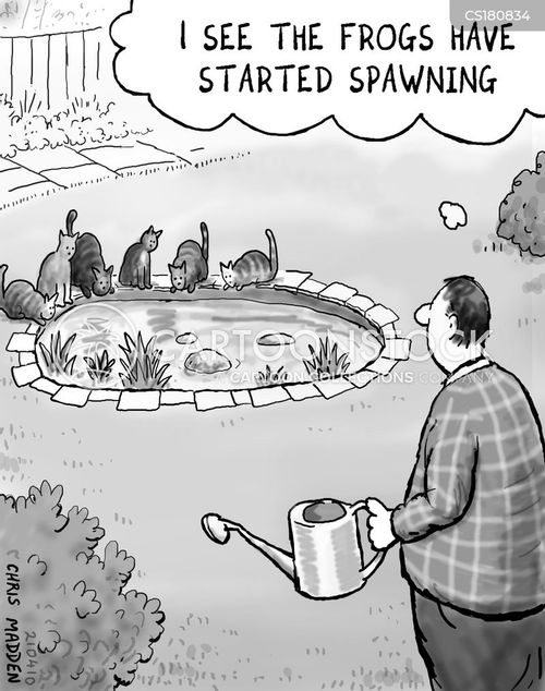 Frogspawn Cartoons and Comics - funny pictures from CartoonStock