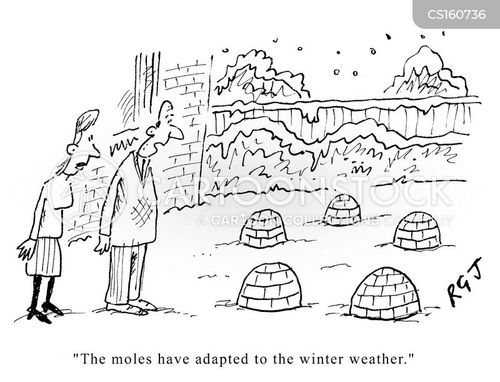 Winter Weather Cartoons and Comics - funny pictures from CartoonStock