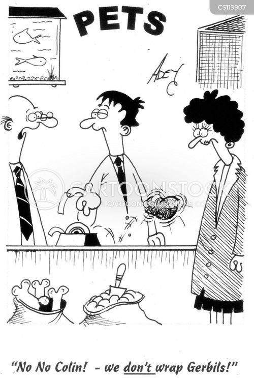 Stupidness Cartoons and Comics - funny pictures from CartoonStock