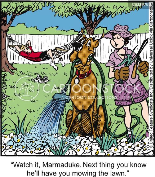 Marmaduke Cartoons and Comics - funny pictures from CartoonStock