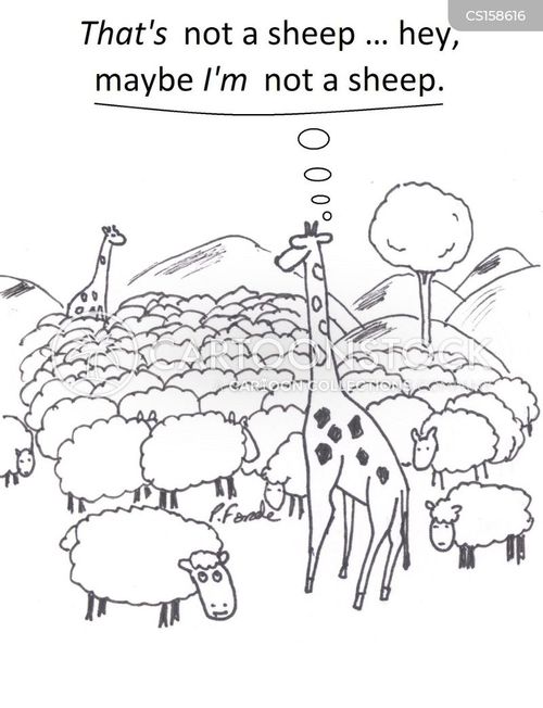 Sheepdog Cartoons and Comics - funny pictures from CartoonStock