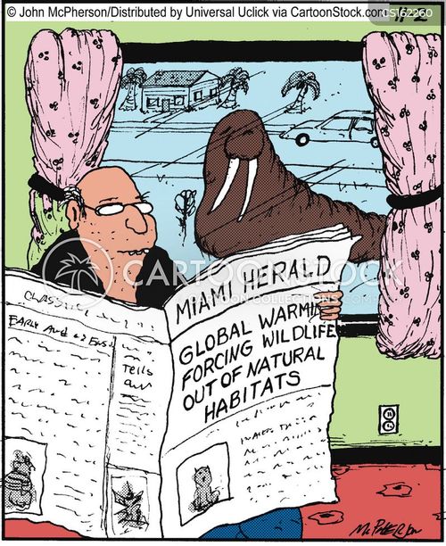 Animal Displacement Cartoons and Comics - funny pictures from CartoonStock