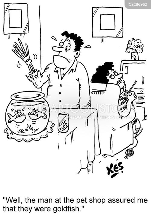 Goldfish Cartoons and Comics - funny pictures from CartoonStock