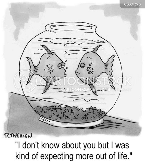 Aspirations And Expectations Cartoons and Comics - funny pictures from ...