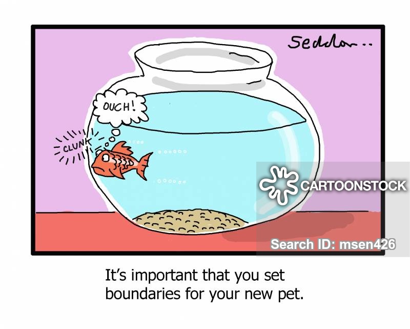 Setting Boundaries Cartoons and Comics - funny pictures from CartoonStock