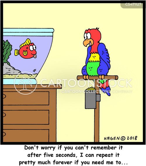 Short-term Memory Cartoons and Comics - funny pictures from CartoonStock