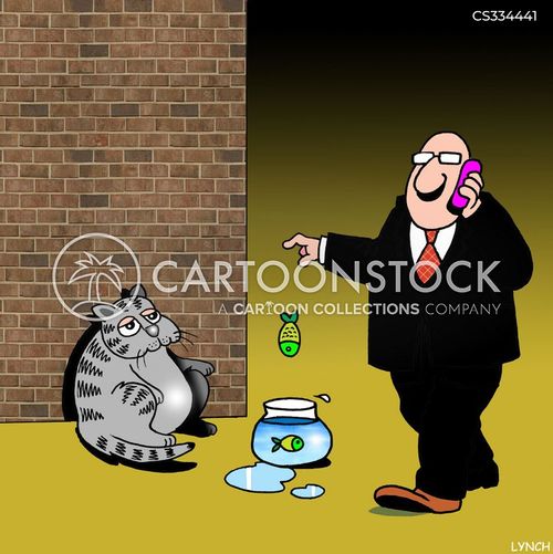 Stray Cat Cartoons and Comics - funny pictures from CartoonStock