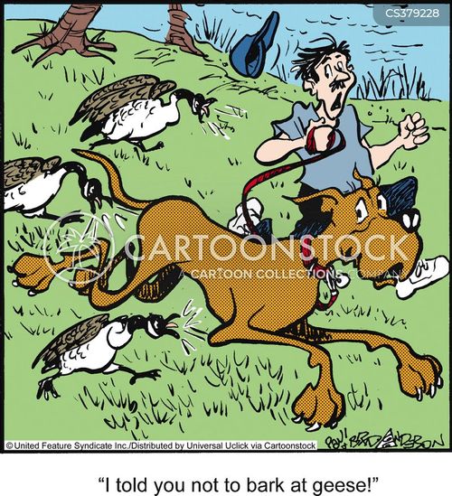 Territorial Cartoons and Comics - funny pictures from CartoonStock