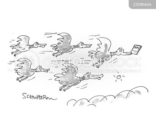 Gaggle Cartoons and Comics - funny pictures from CartoonStock