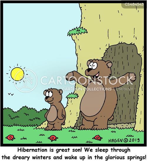 Animal Hibernation Cartoons and Comics - funny pictures from CartoonStock