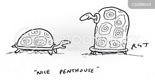 Upstairs Cartoons and Comics - funny pictures from CartoonStock