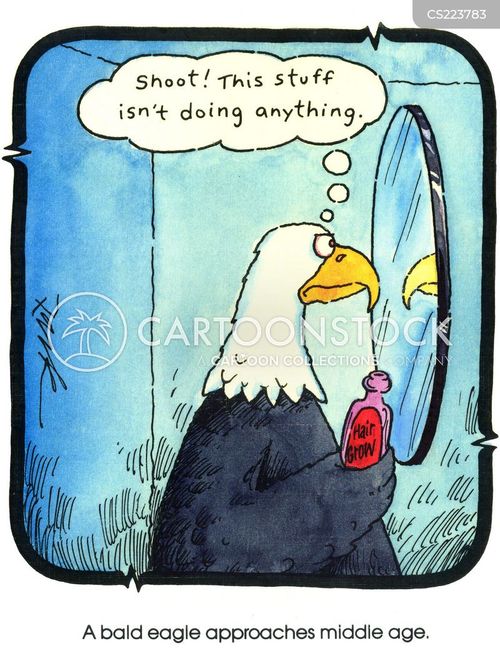 Bald Eagle Cartoons and Comics - funny pictures from CartoonStock