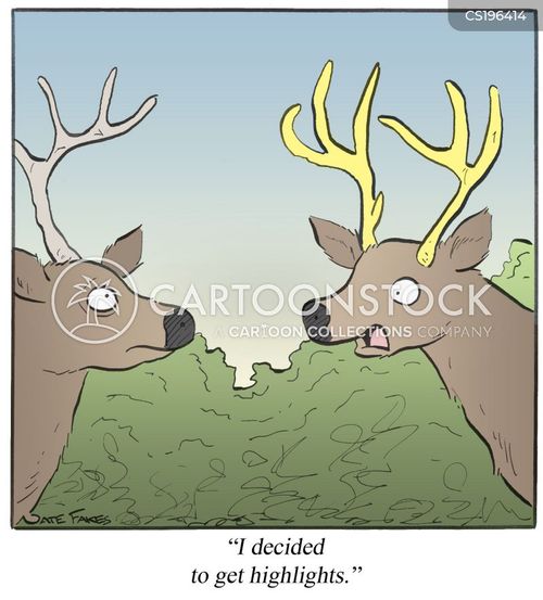 Highlight Cartoons and Comics - funny pictures from CartoonStock