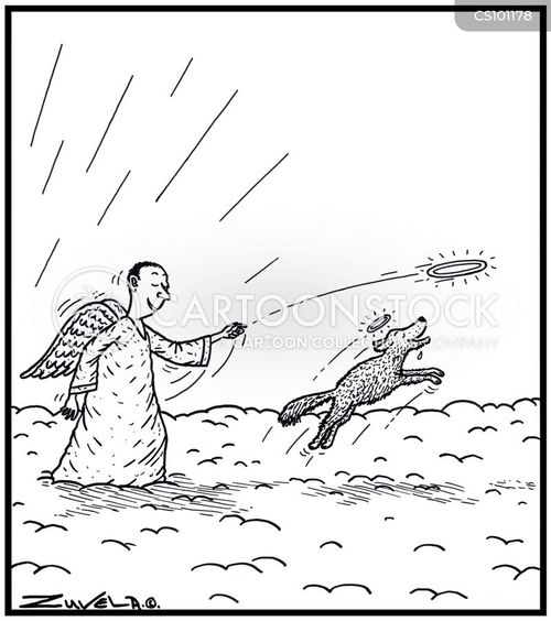 On Cloud 9 Cartoons and Comics - funny pictures from CartoonStock