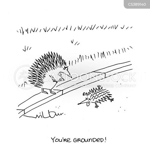 Run Over Cartoons and Comics - funny pictures from CartoonStock