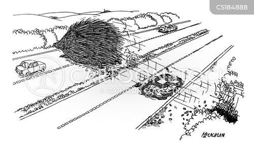 Dangerous Roads Cartoons and Comics - funny pictures from CartoonStock