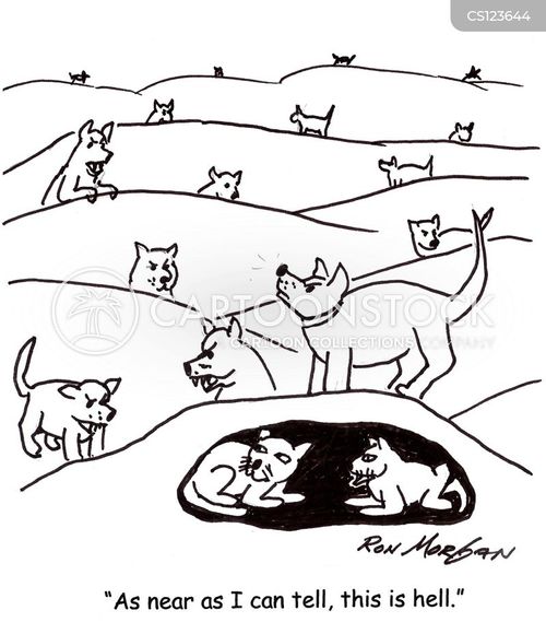 Cat For Sale Cartoons and Comics - funny pictures from CartoonStock