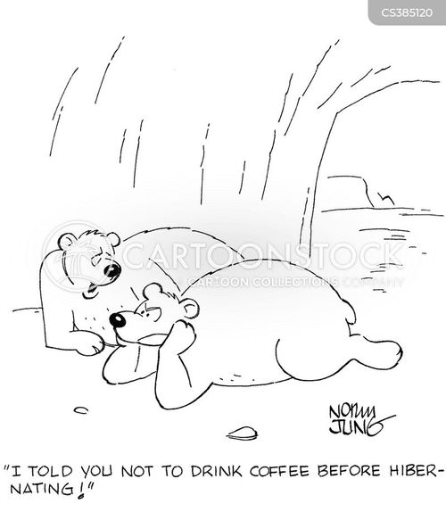 Bear Hibernation Cartoons and Comics - funny pictures from CartoonStock