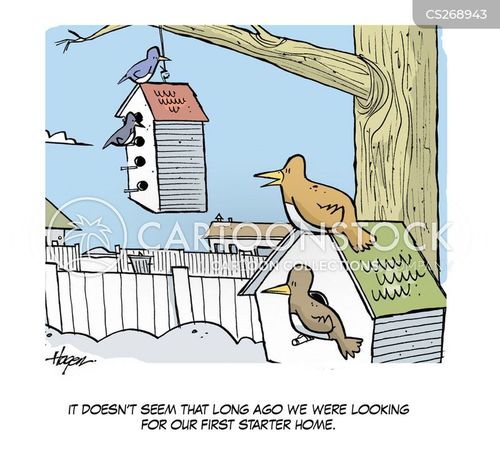 First House Cartoons and Comics - funny pictures from CartoonStock