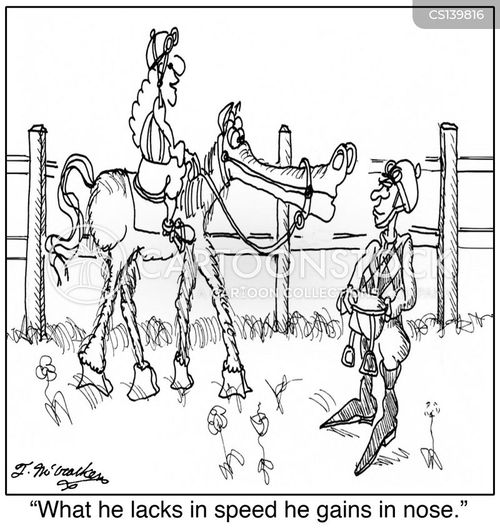 Horse Breeding Cartoons and Comics - funny pictures from CartoonStock
