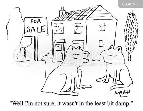 Rising Damp Cartoons and Comics - funny pictures from CartoonStock