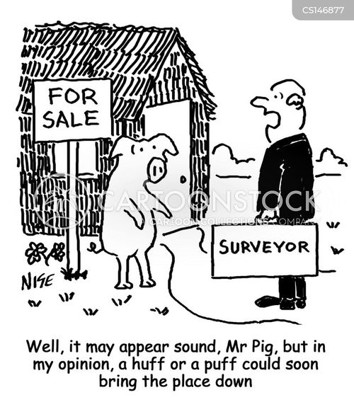 Surveyor Cartoons and Comics - funny pictures from CartoonStock