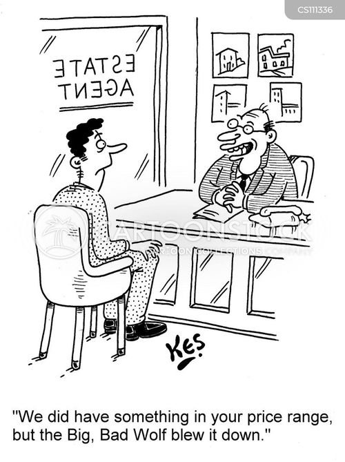 Blew Down The House Cartoons and Comics - funny pictures from CartoonStock