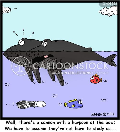 Humpback Whale Cartoons and Comics - funny pictures from CartoonStock