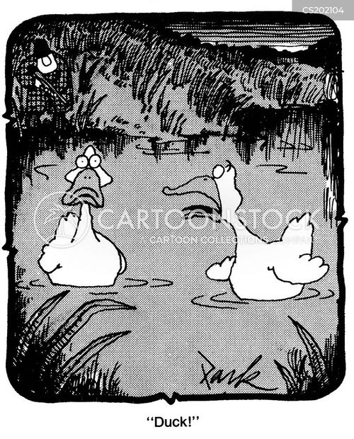 Duck Hunting Cartoons and Comics - funny pictures from CartoonStock