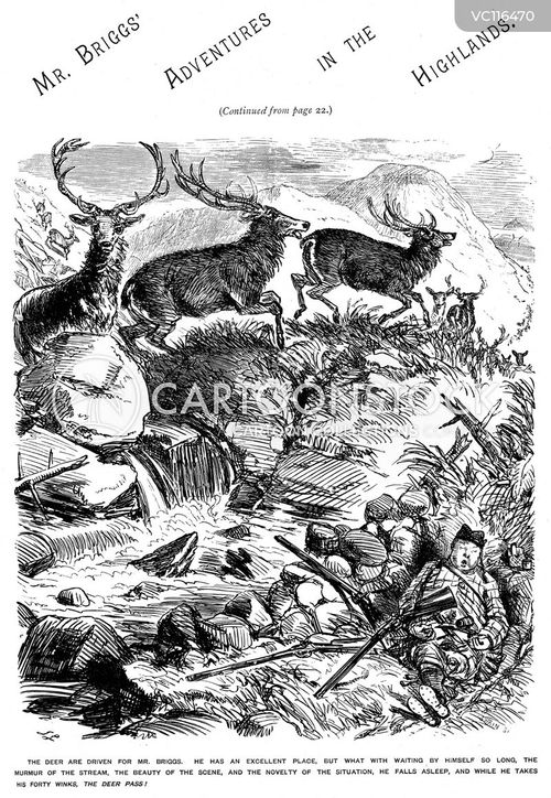 Deer Hunt Cartoons and Comics - funny pictures from CartoonStock
