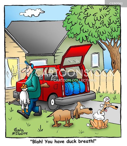 Bow Hunting Cartoons and Comics - funny pictures from CartoonStock