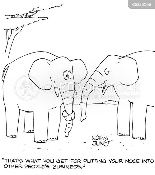 Inquisitiveness Cartoons and Comics - funny pictures from CartoonStock