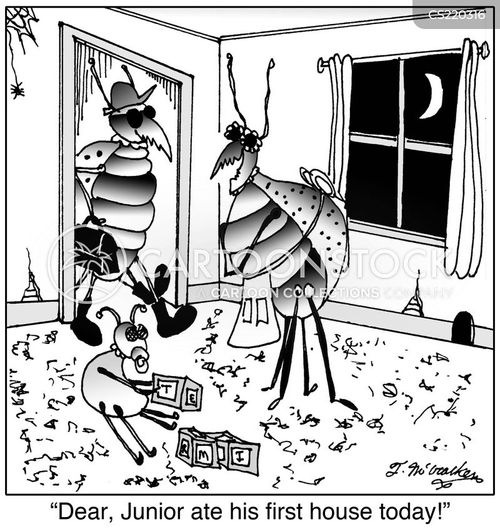 Insects' Life Cartoons and Comics - funny pictures from CartoonStock