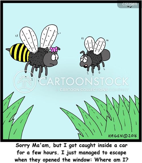 Fly Screen Cartoons and Comics - funny pictures from CartoonStock