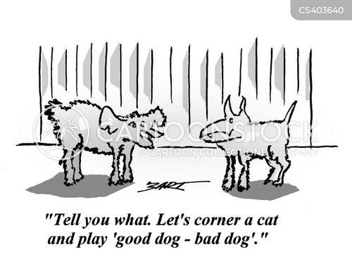 Elaborative Interrogation