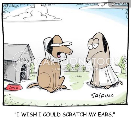 Collar Of Shame Cartoons and Comics - funny pictures from CartoonStock