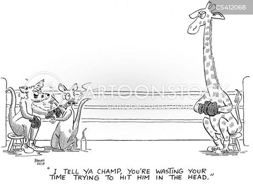 Boxing Coaches Cartoons and Comics - funny pictures from CartoonStock