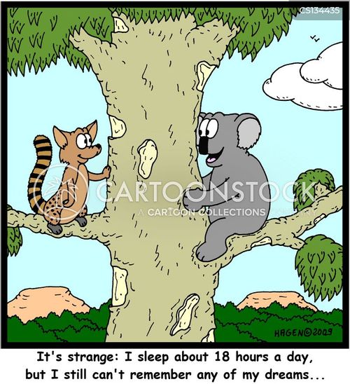 Good Dreams Cartoons and Comics - funny pictures from CartoonStock