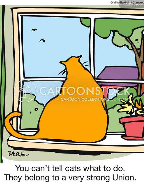 Strong Minded Cartoons and Comics - funny pictures from CartoonStock