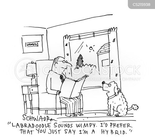 Labradoodle Cartoons and Comics - funny pictures from CartoonStock