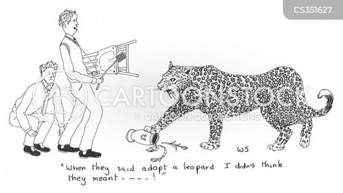 Leopards Cartoons and Comics - funny pictures from CartoonStock