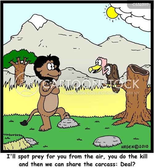 Buzzard Cartoons and Comics - funny pictures from CartoonStock