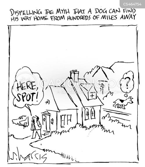 Missing Dog Cartoons and Comics - funny pictures from CartoonStock