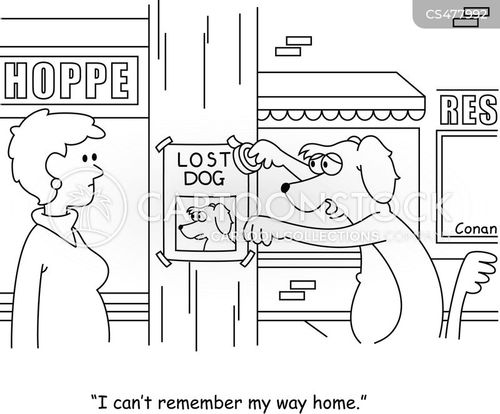 Lost Dog Cartoons and Comics - funny pictures from CartoonStock
