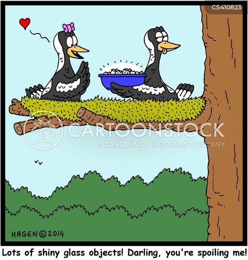 Magpie Cartoons and Comics - funny pictures from CartoonStock