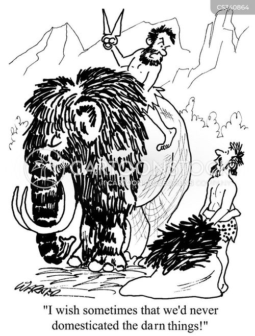 Domesticate Cartoons and Comics - funny pictures from CartoonStock