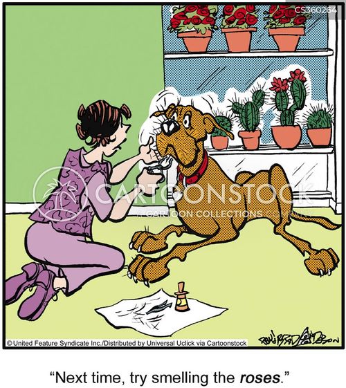 Stop And Smell The Roses Cartoons and Comics - funny pictures from ...